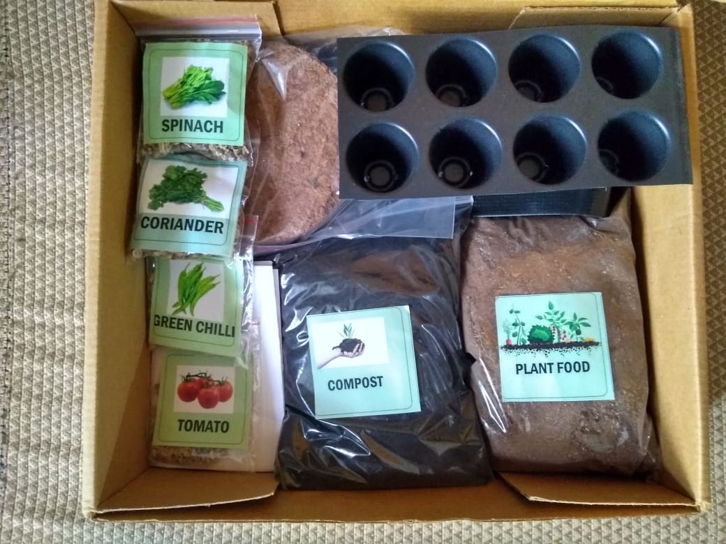Vegetable Grow Kit – The Grow House